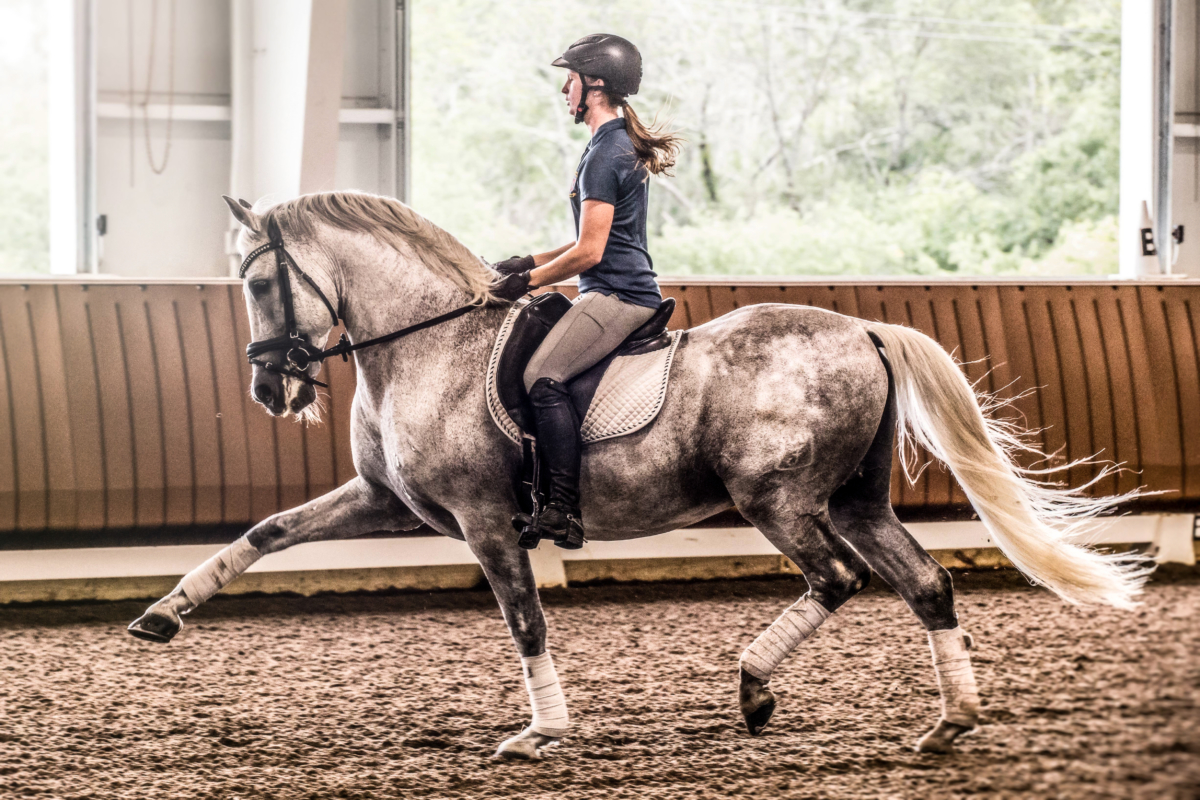 Put Your Footing First: How to Care for a FootingFirst Arena | FootingFirst